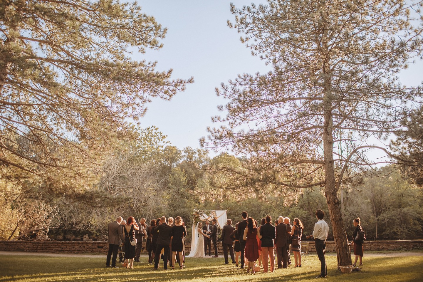 Scarlet and Anthony's Park Wedding • Nessa K - Washington DC Wedding ...