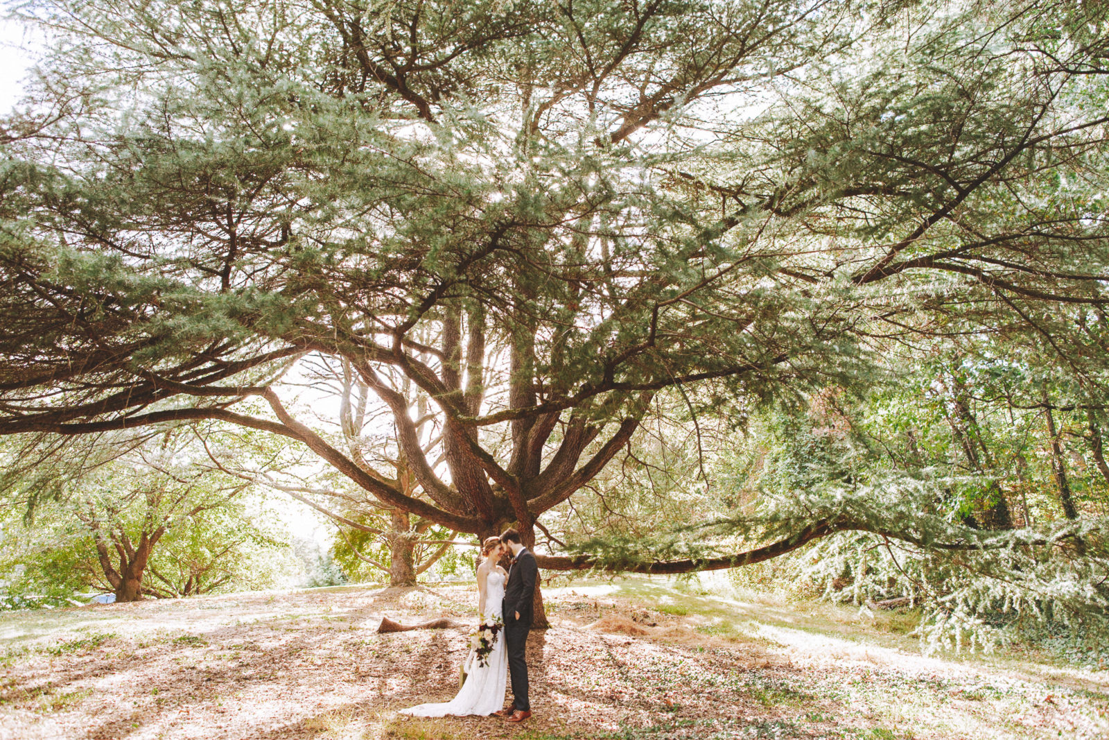 Iron Gate Wedding Photos - Washington DC Elopement